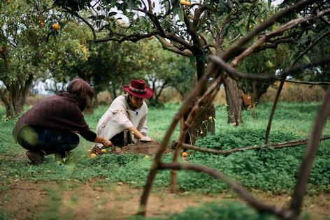 Ritual: Autumn Purification Lodge